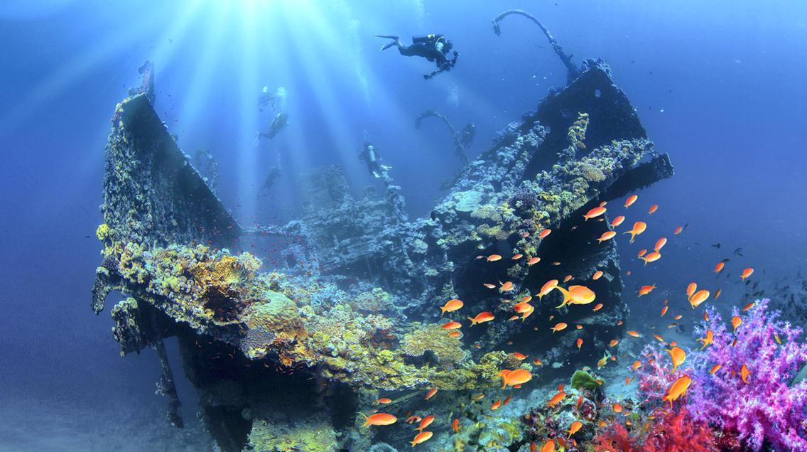 Red Sea | Saudi Viewpoint